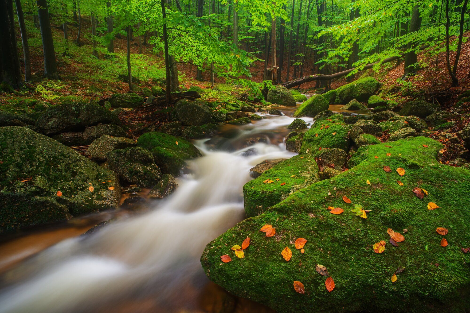 Zaostřeno na Jizerky: výstava fotografií z Jizerských hor